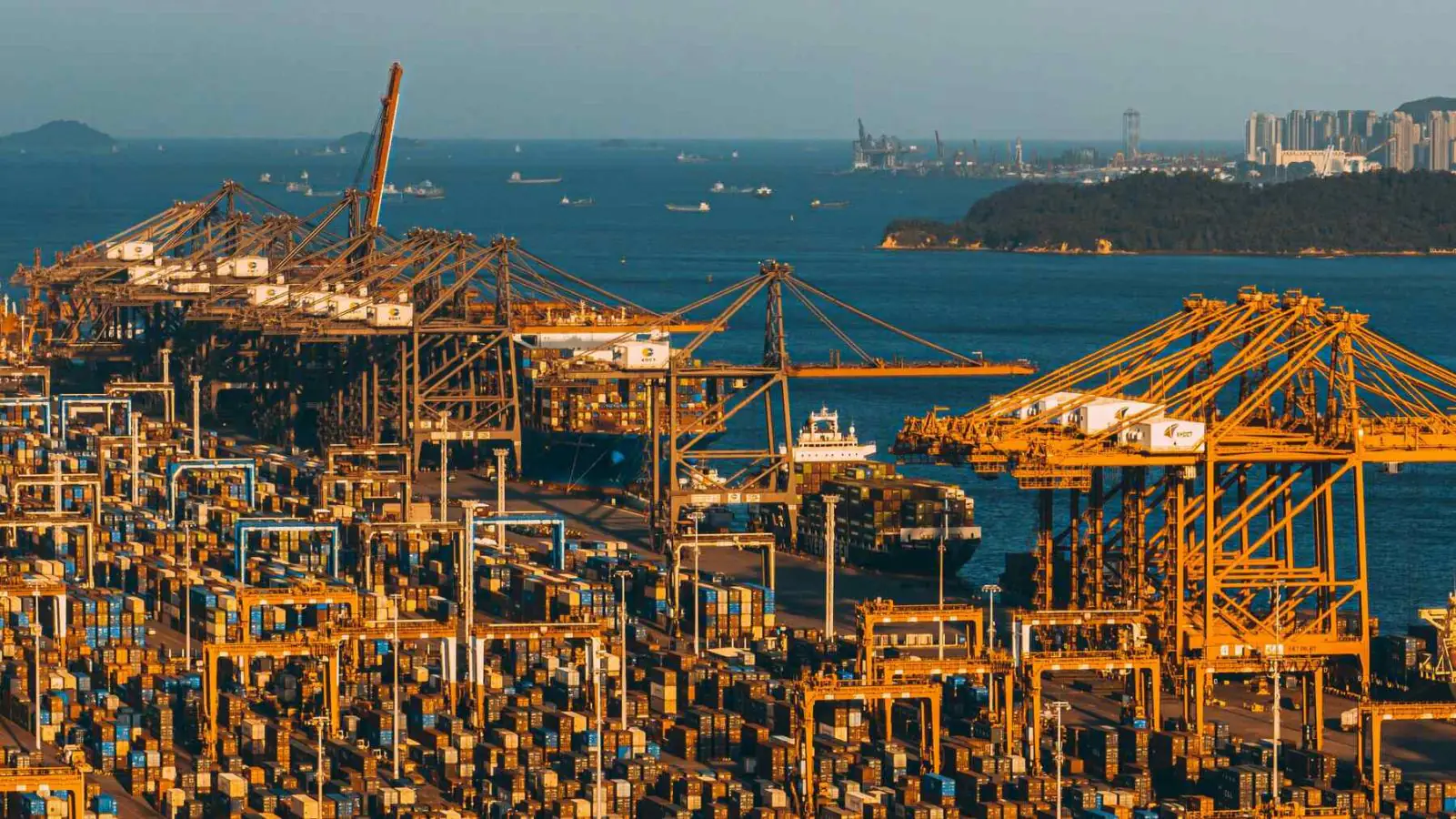Port Congestion & Delays: Causes & How to Avoid Them