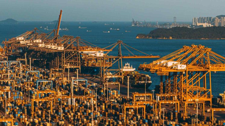 Port Congestion & Delays: Causes & How to Avoid Them